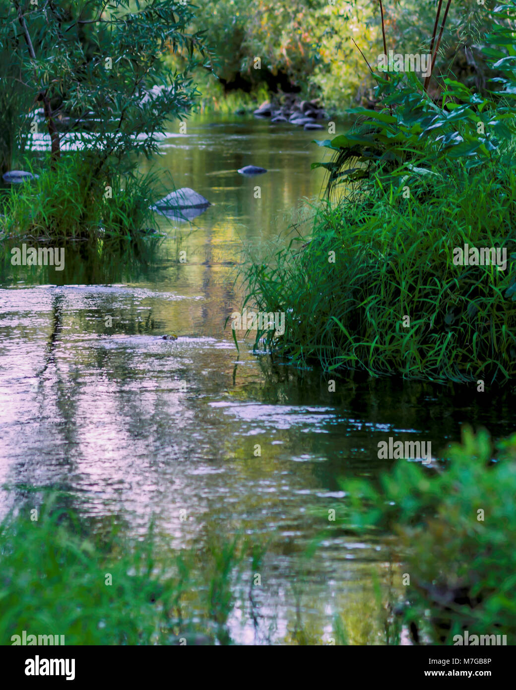 The calming Kaweah River Stock Photo - Alamy