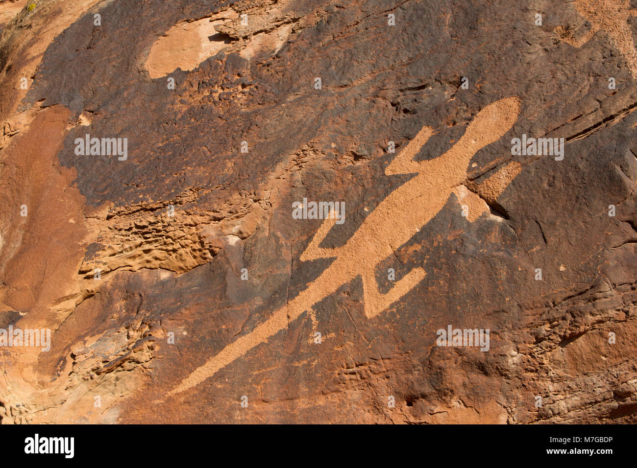 Lizard petroglyph along Cub Creek Road was probably made by Fremont ...
