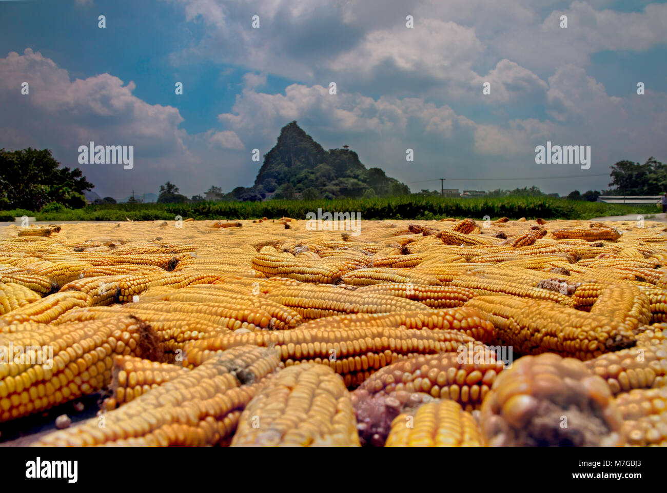 Yiling hi-res stock photography and images - Alamy