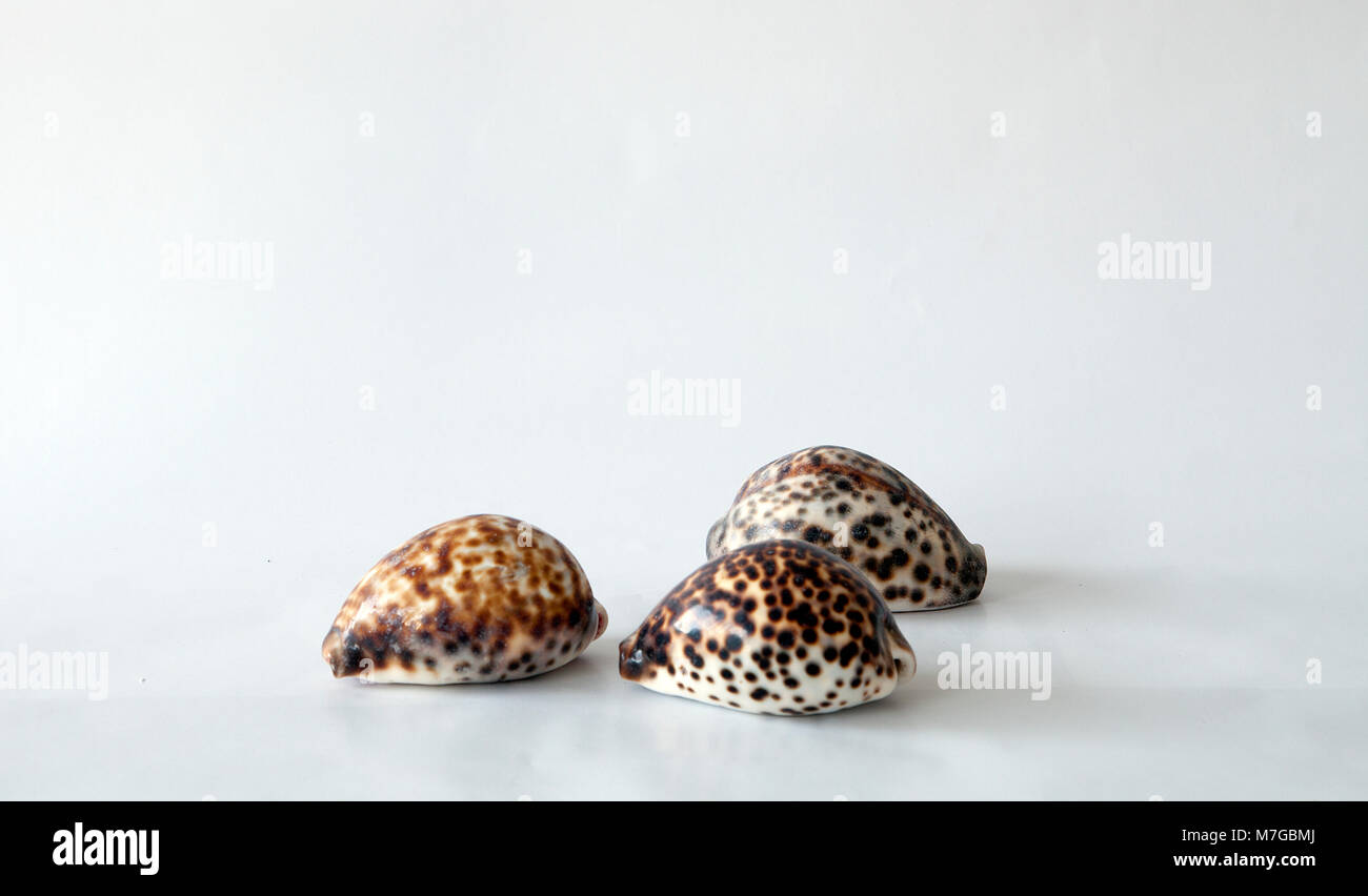 Coweries hi-res stock photography and images - Alamy