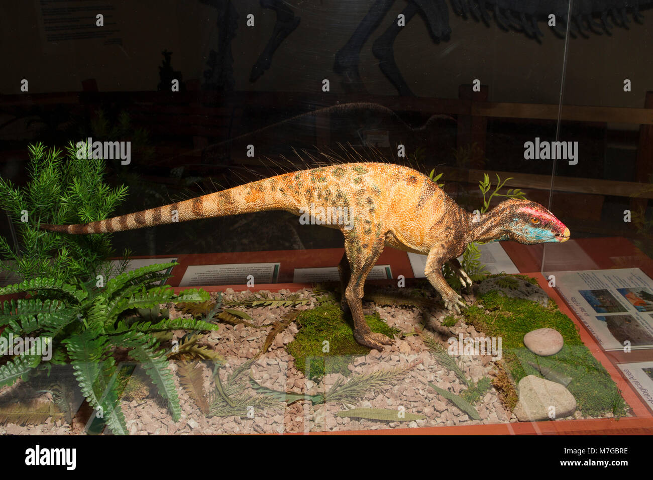 Tiny Fruitadens dinosaur was collected just southwest of Fruita ...