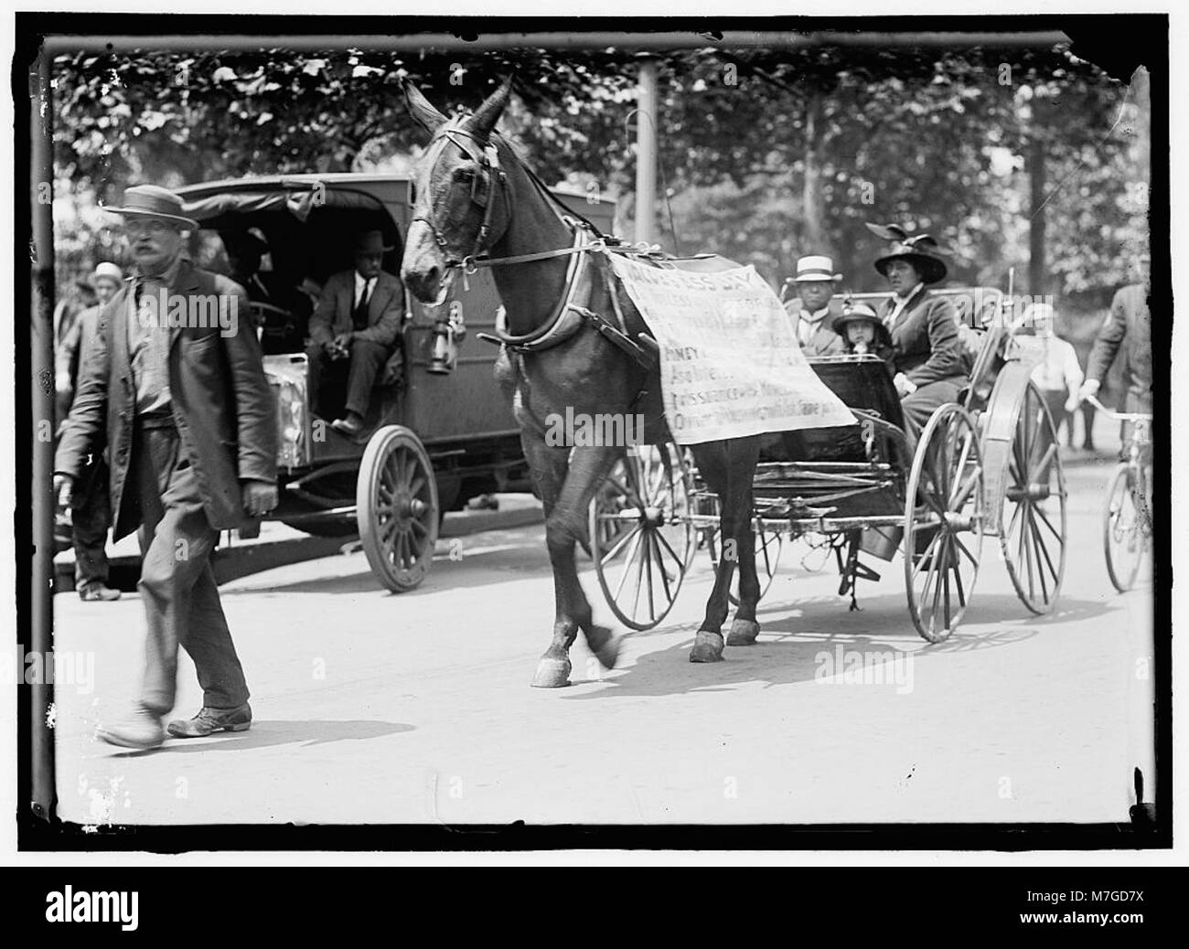 Coxey hi-res stock photography and images - Alamy