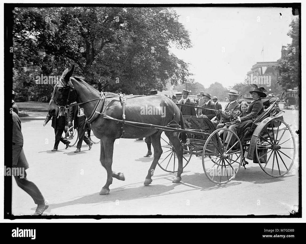 A portrait of Jacob Coxey, leader of Coxey's Army, known for his march ...