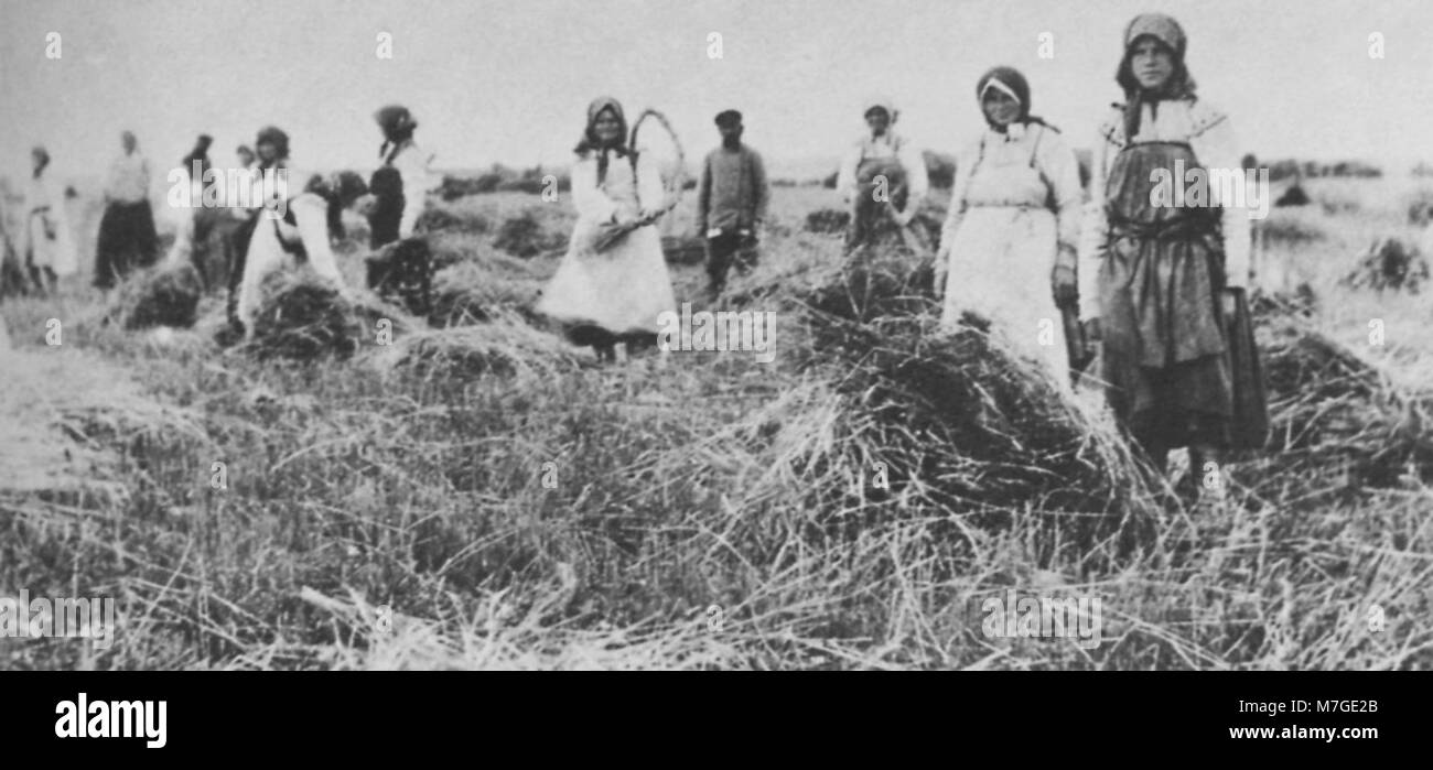 A photograph taken in Russia, possibly depicting a threshing scene ...