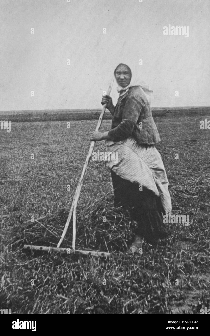 A Russian photograph showing fieldwork, likely from the early 20th ...