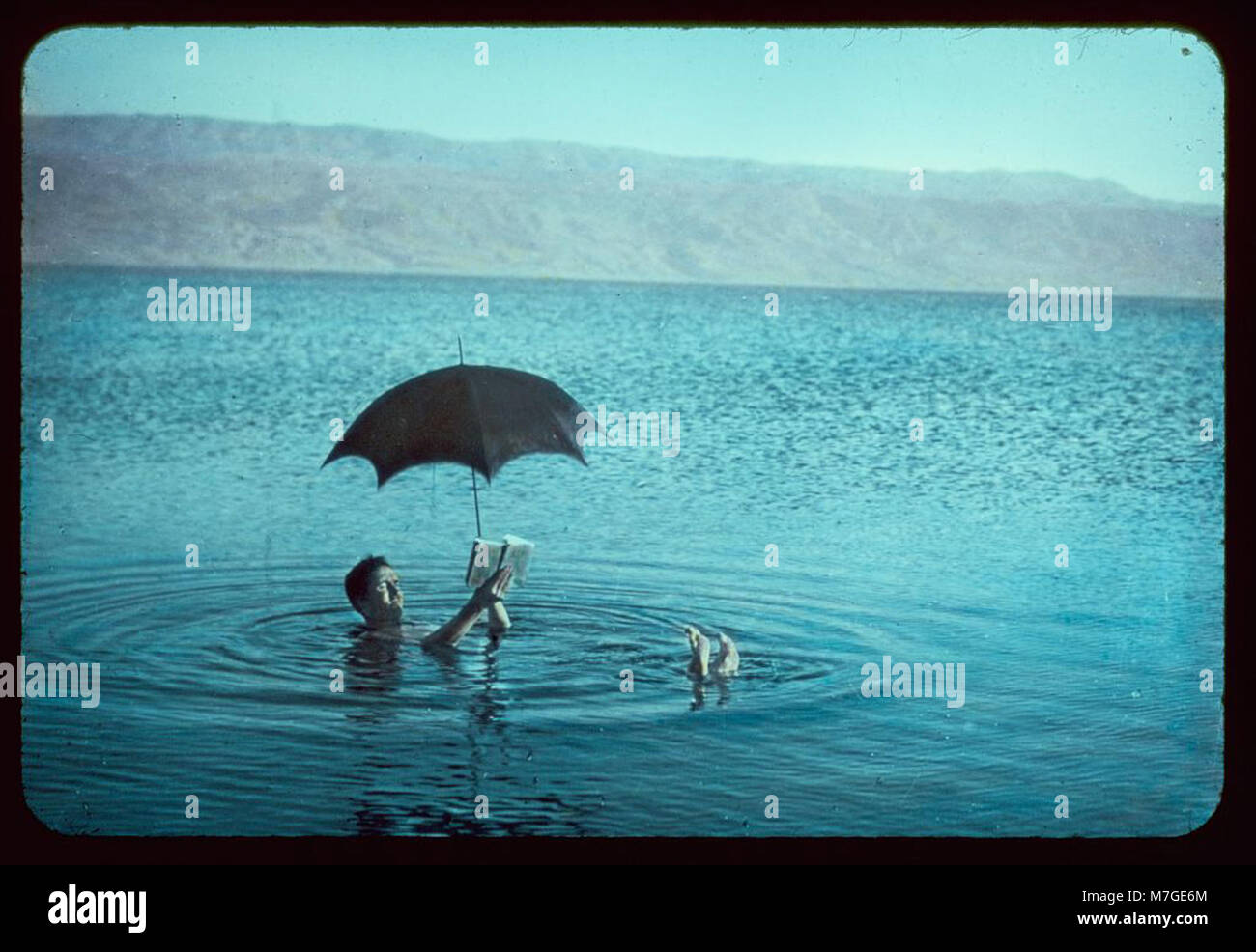 A man is shown floating in the Dead Sea, holding a book and sunshade to ...