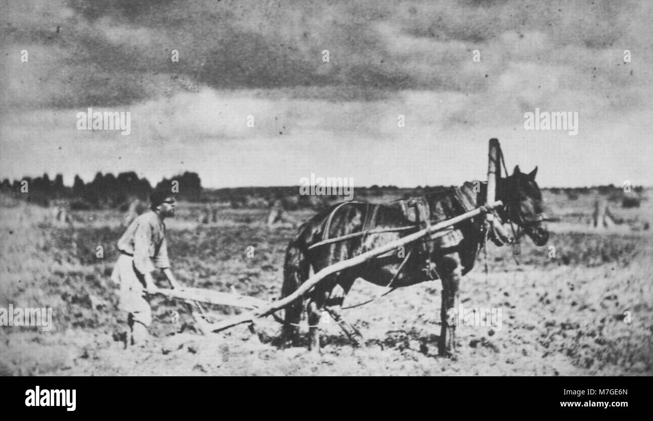 This photograph shows a Russian farmer plowing with a traditional ...