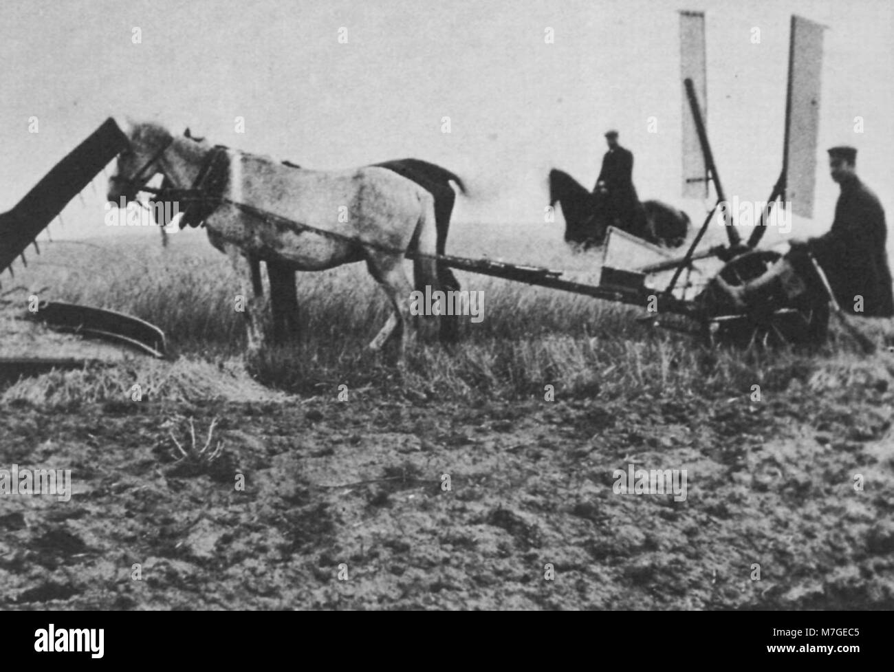 This Russian photograph from around 1890 captures a rural scene ...