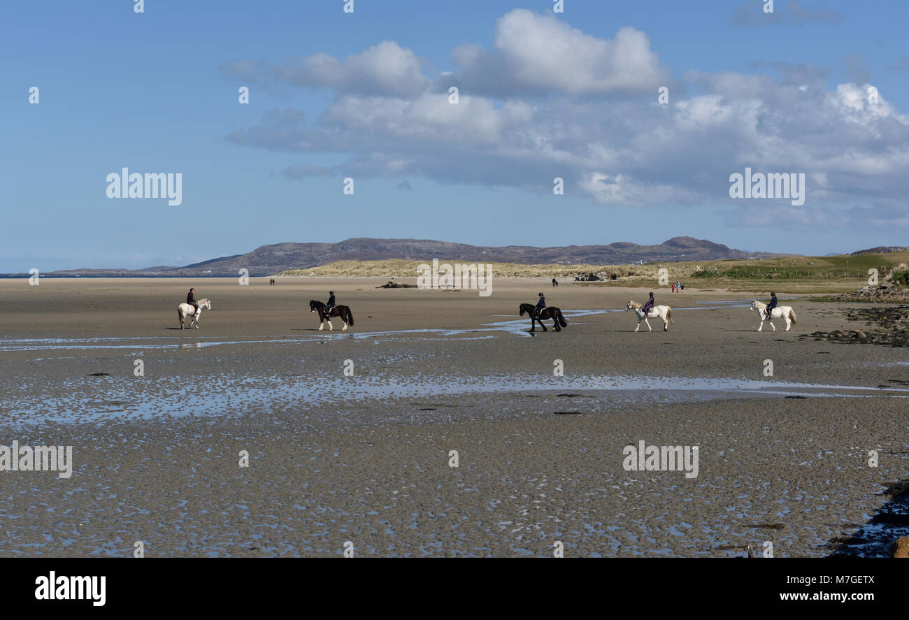 Dunfanaghy ireland horses hi-res stock photography and images - Alamy