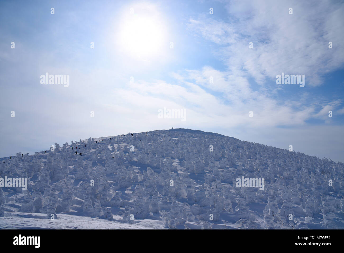 Snow Monsters of Mt.Zao in Yamagata, Japan Stock Photo - Alamy