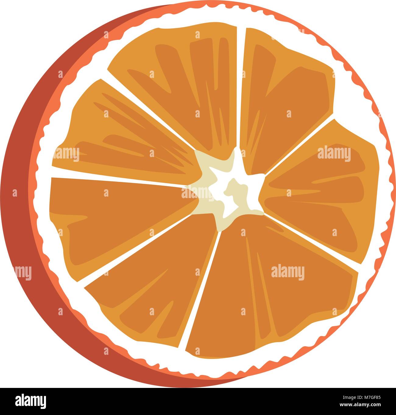 Orange citric fruit vector illustration graphic design Stock Vector ...