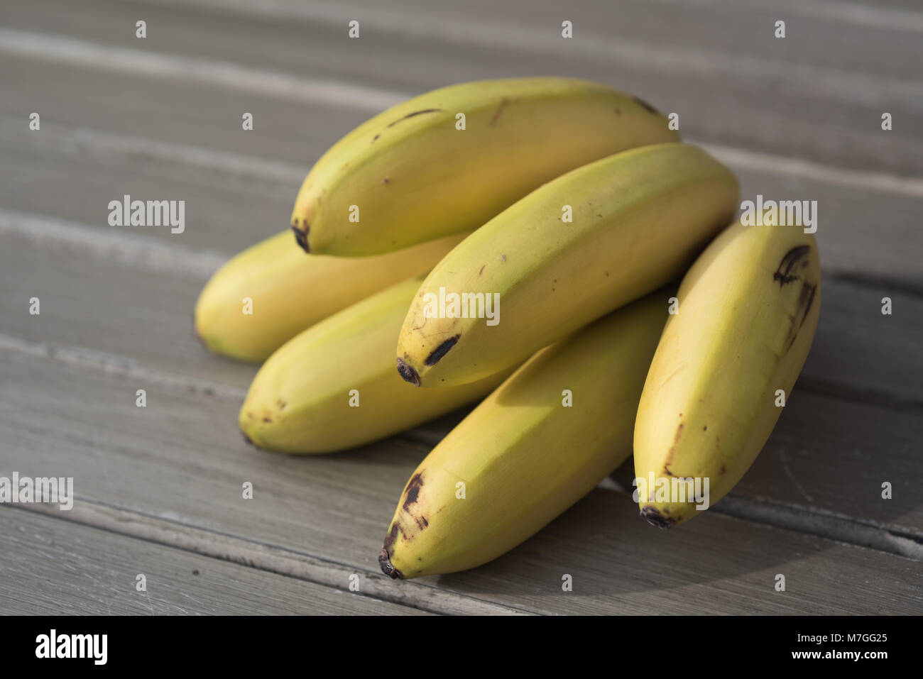 Bannana plant hi-res stock photography and images - Alamy