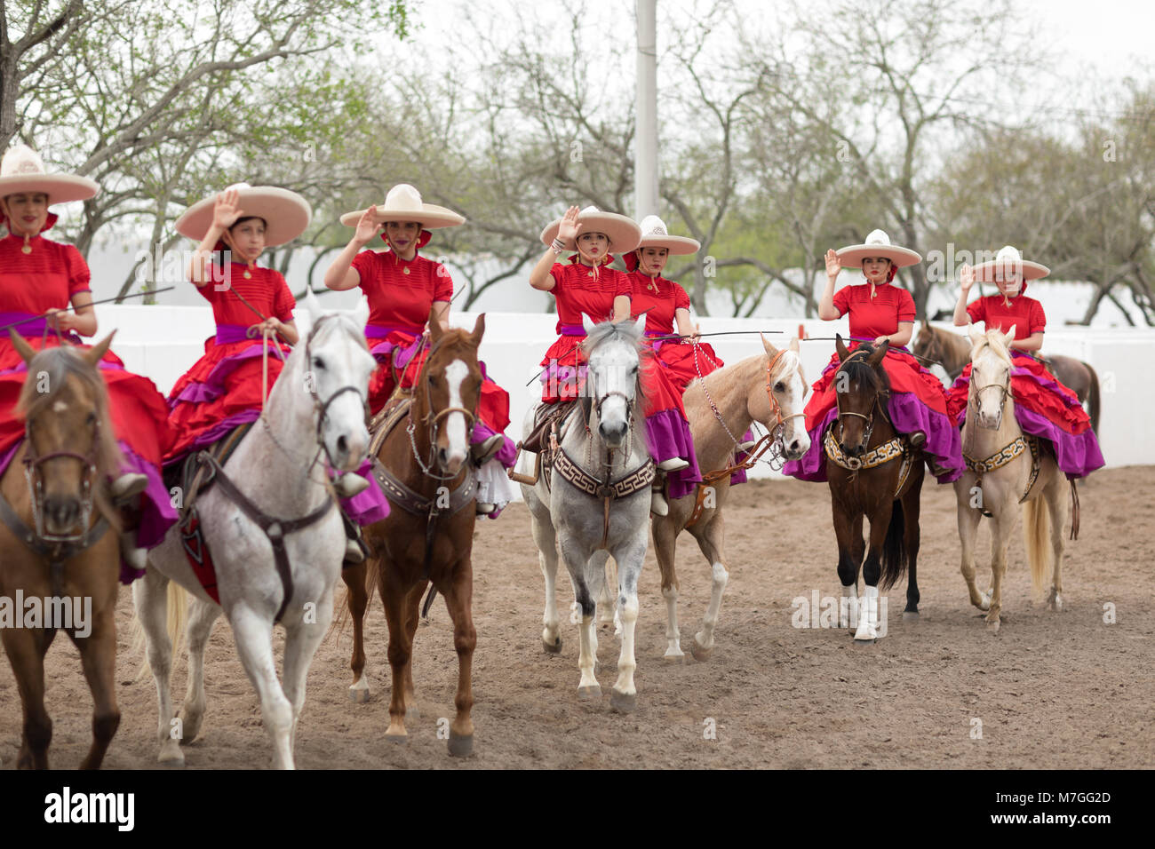 Charreada hi-res stock photography and images - Alamy