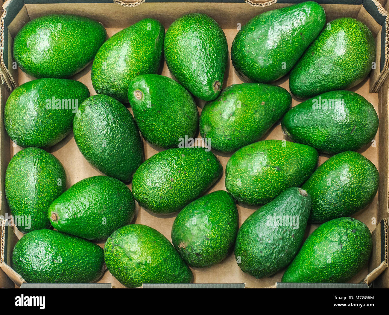 Avocado rind hi-res stock photography and images - Alamy