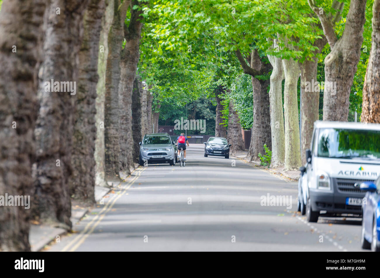 Lined Street High Resolution Stock Photography and Images - Alamy