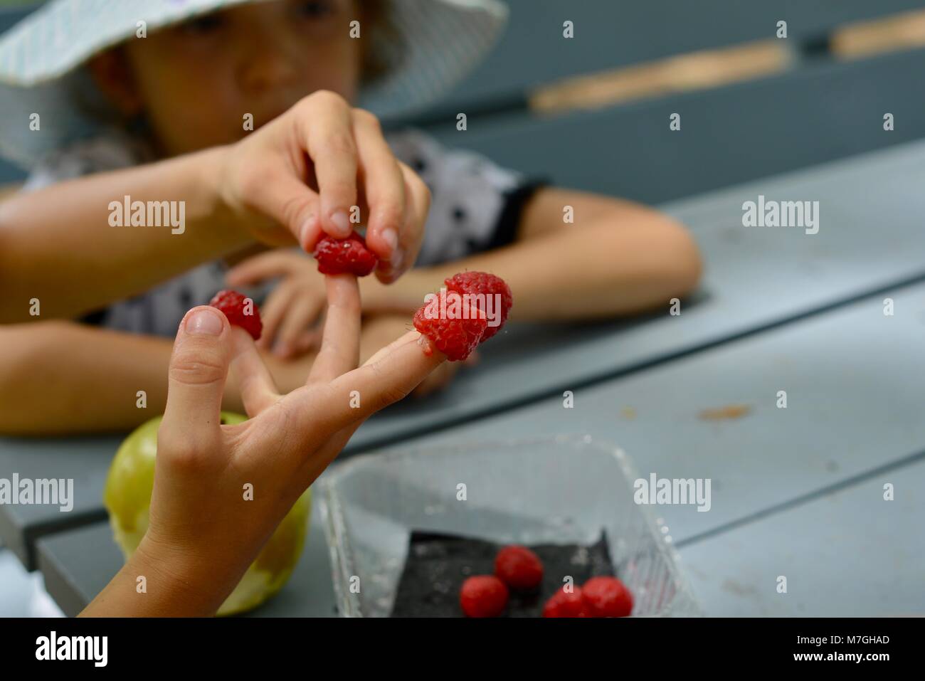 Kids eating raspberries, Apex Park, Riverway Drive, Condon QLD ...