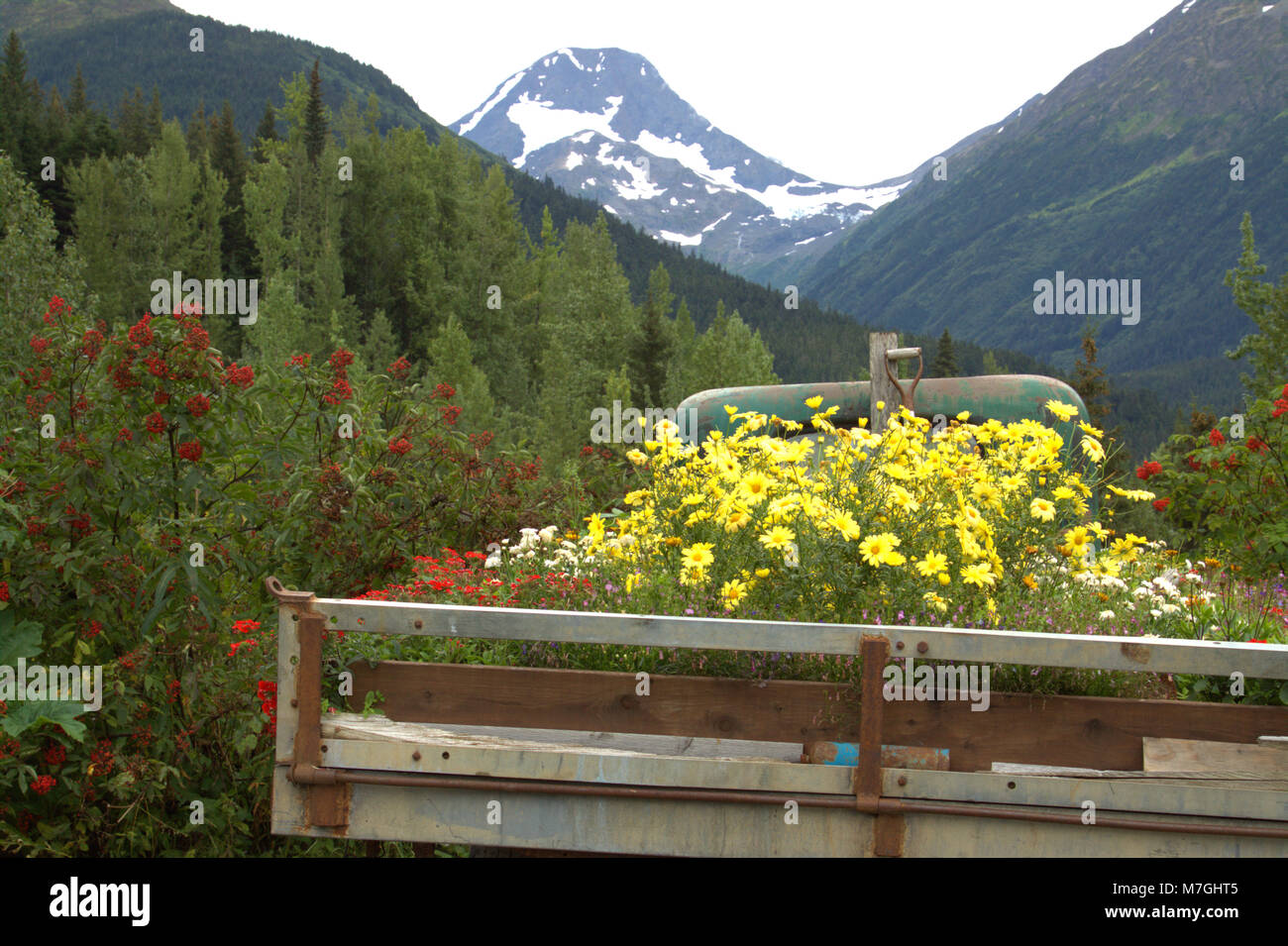 Alaska historic crow creek gold hi-res stock photography and images - Alamy