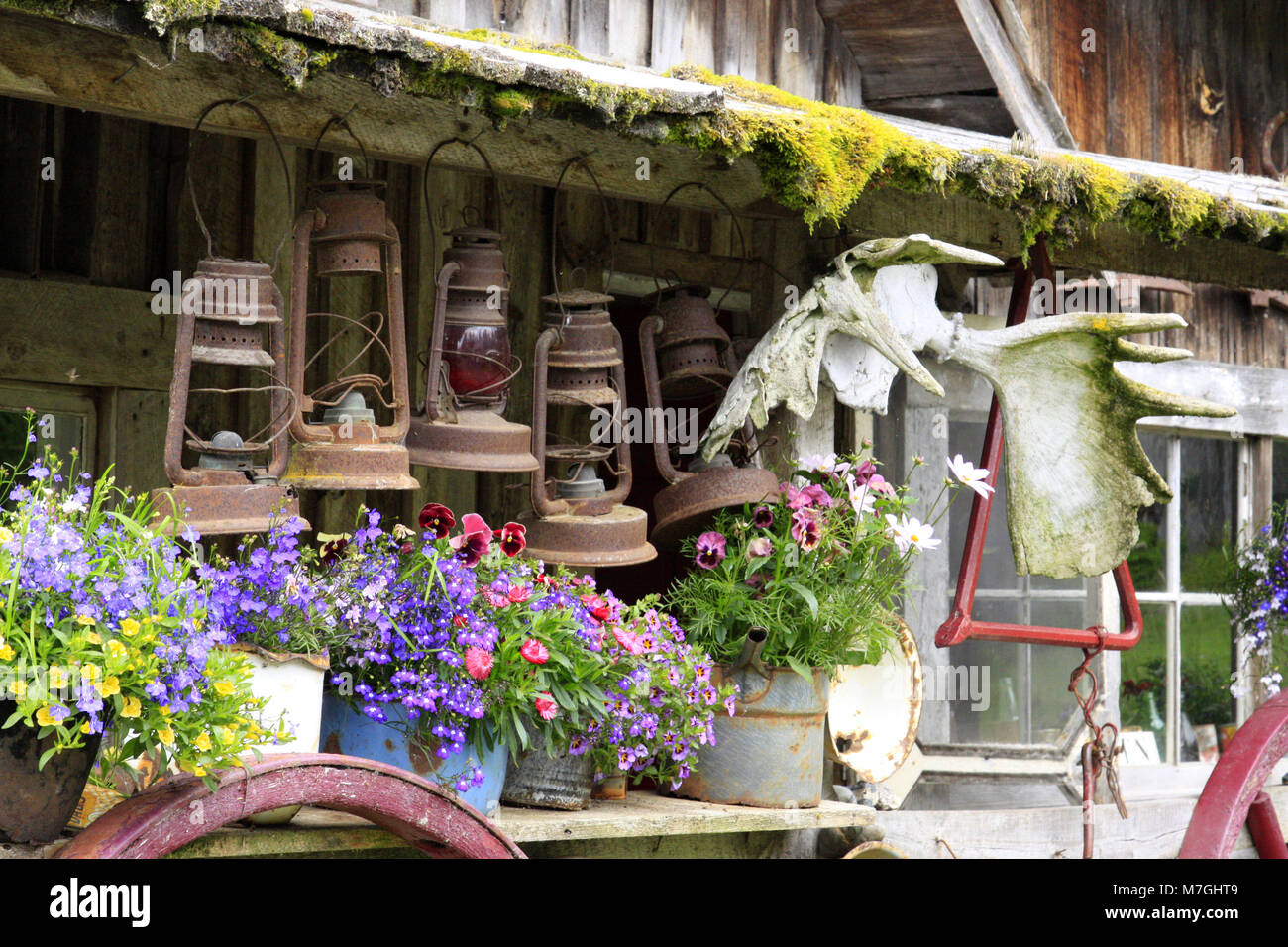 Alaskan Rustic Cabins Stock Photo - Alamy