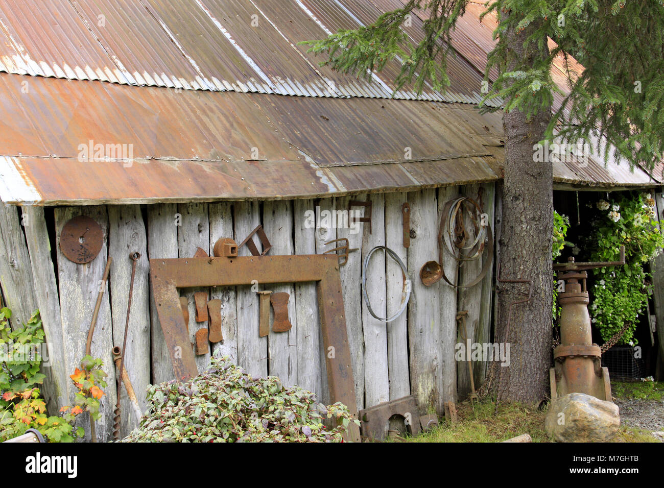 Alaska abandoned log cabin hi-res stock photography and images - Alamy