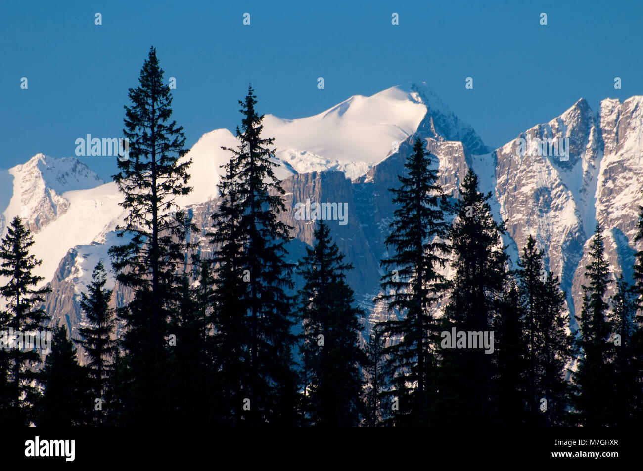 Mount burgess canada hi-res stock photography and images - Alamy