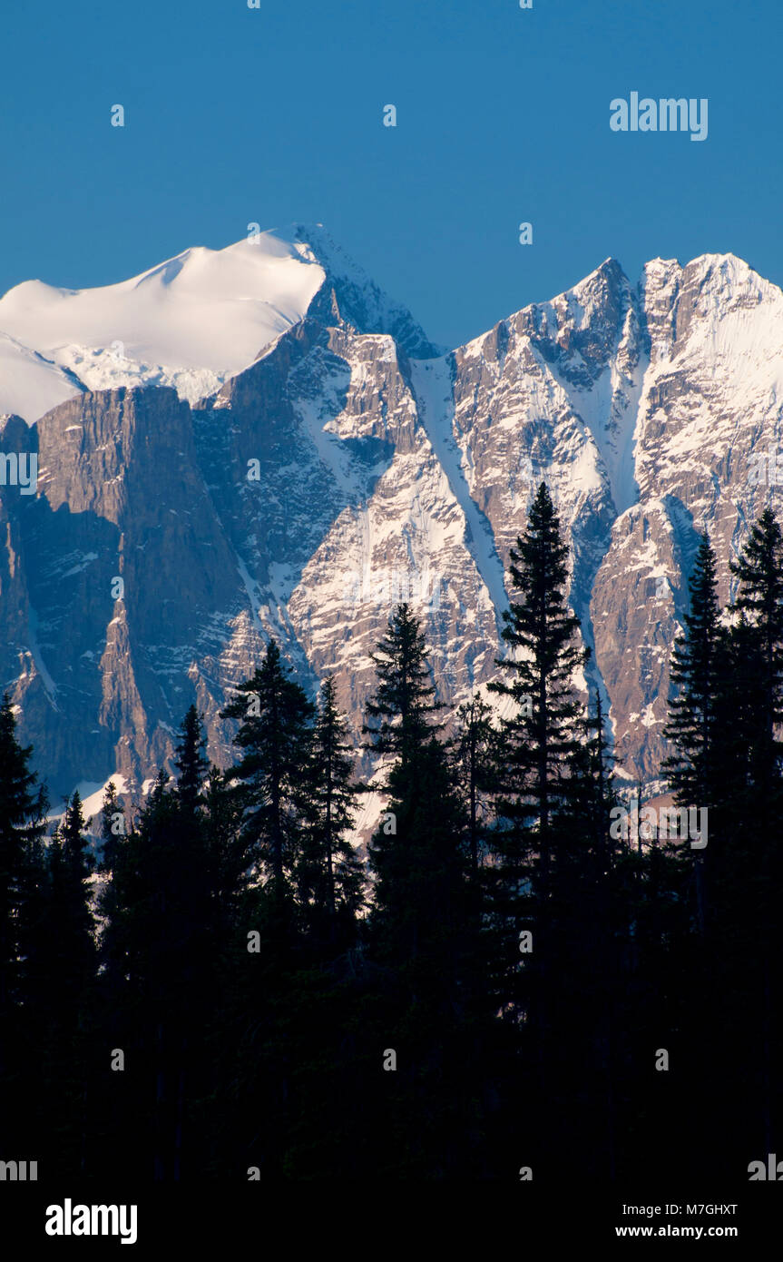 Mount Burgess, Yoho National Park, British Columbia, Canada Stock Photo ...