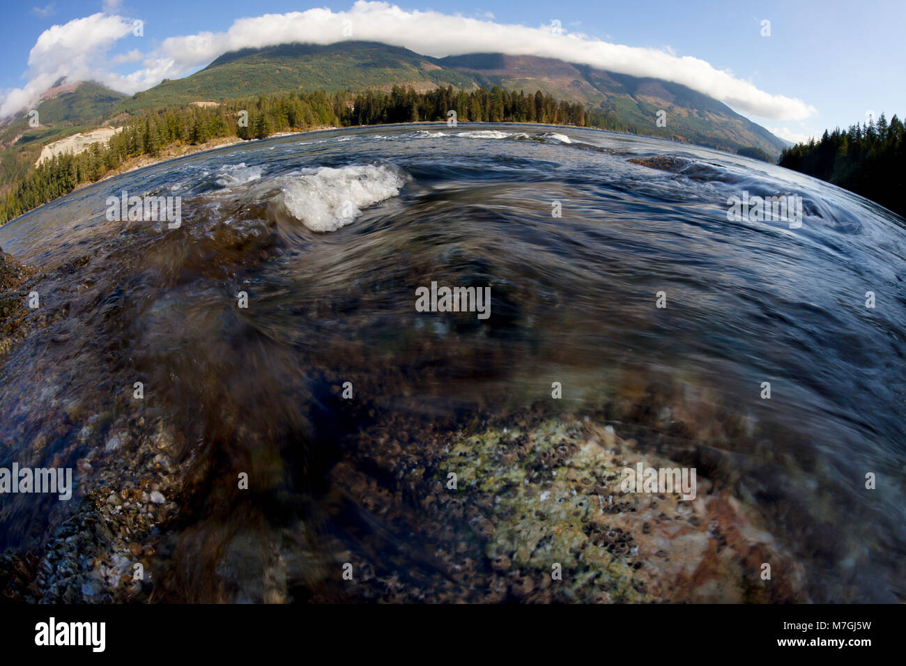 One of the fastest tidal waters in the world. On a three-metre tide ...