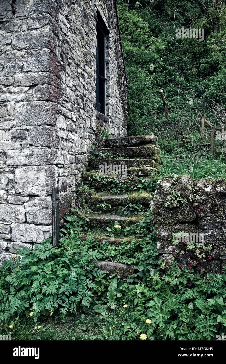 Stone barn steps hi-res stock photography and images - Alamy