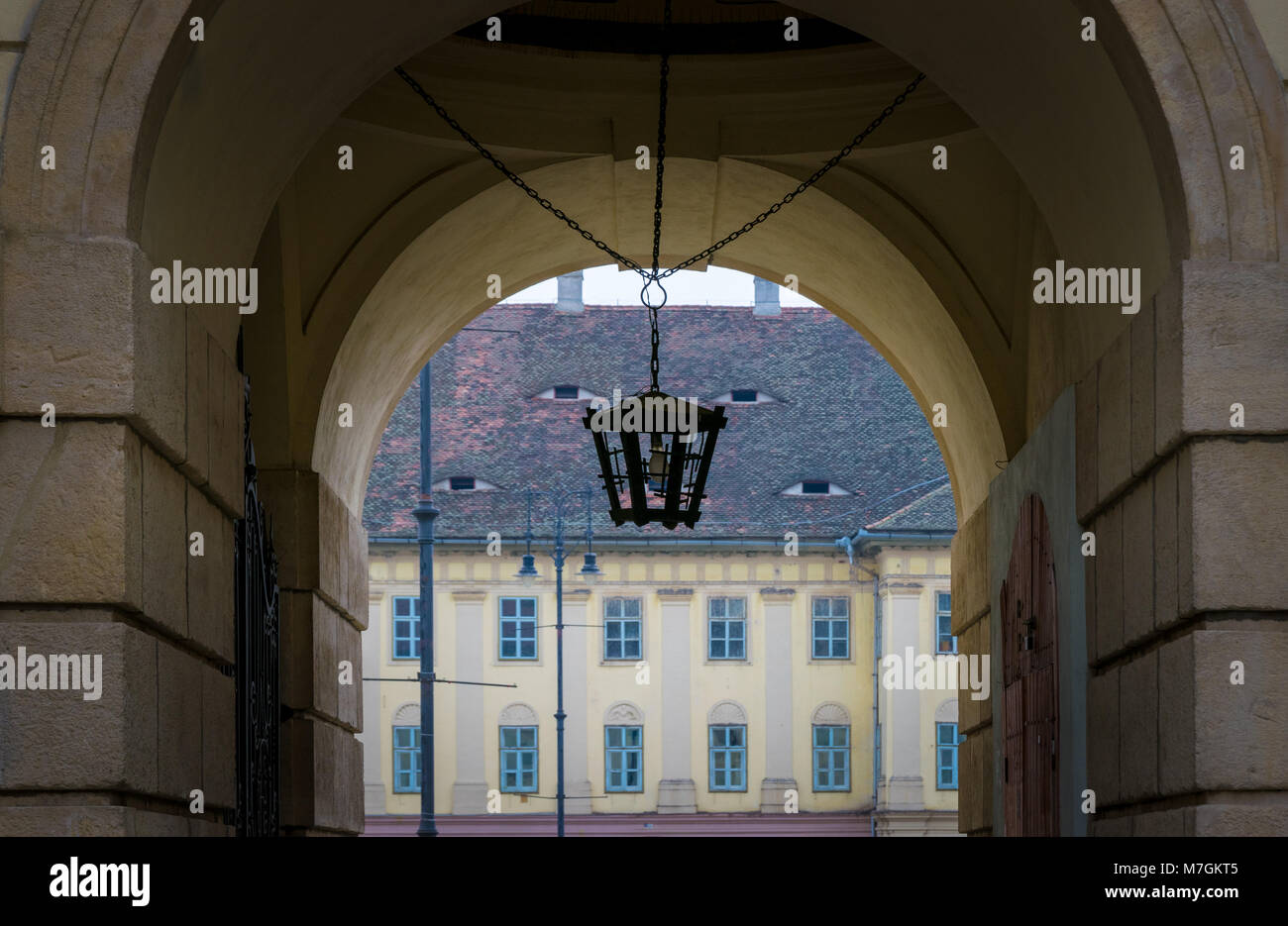 House eyes hi-res stock photography and images - Alamy