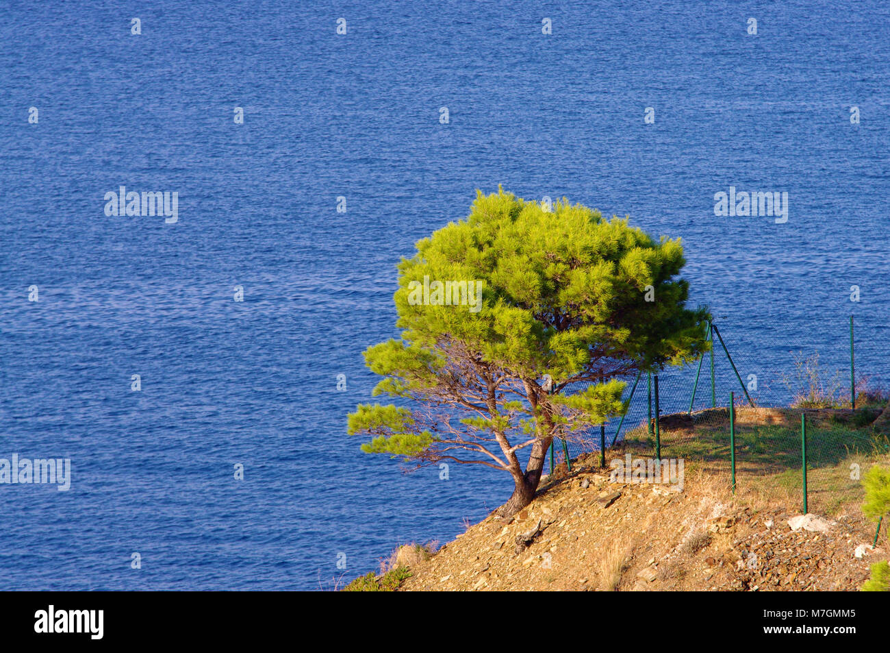Lonely natural beach with tree trunk hi-res stock photography and ...