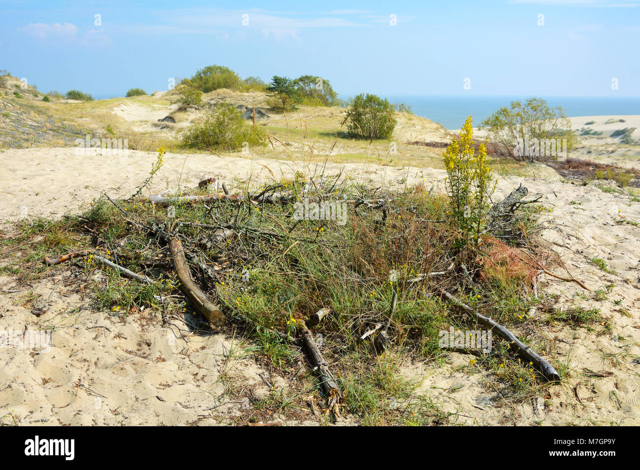 Distinctive Landscape High Resolution Stock Photography and Images - Alamy