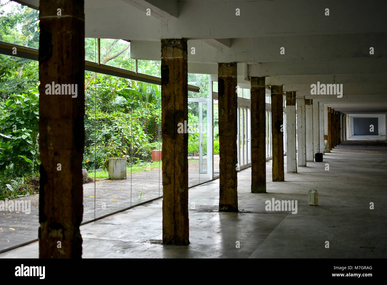 Pillars and glass windows Stock Photo - Alamy