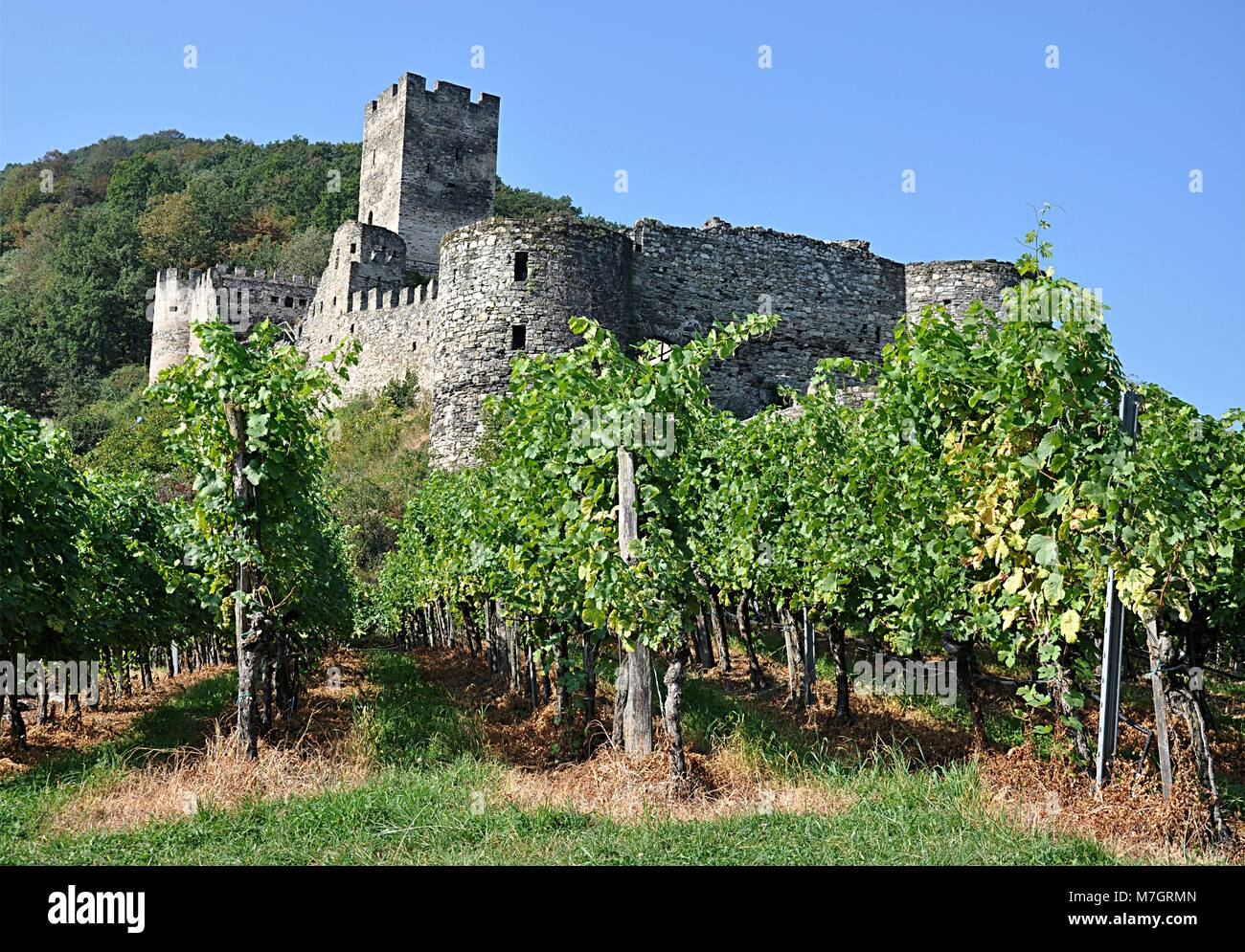 Village spitz hi-res stock photography and images - Alamy
