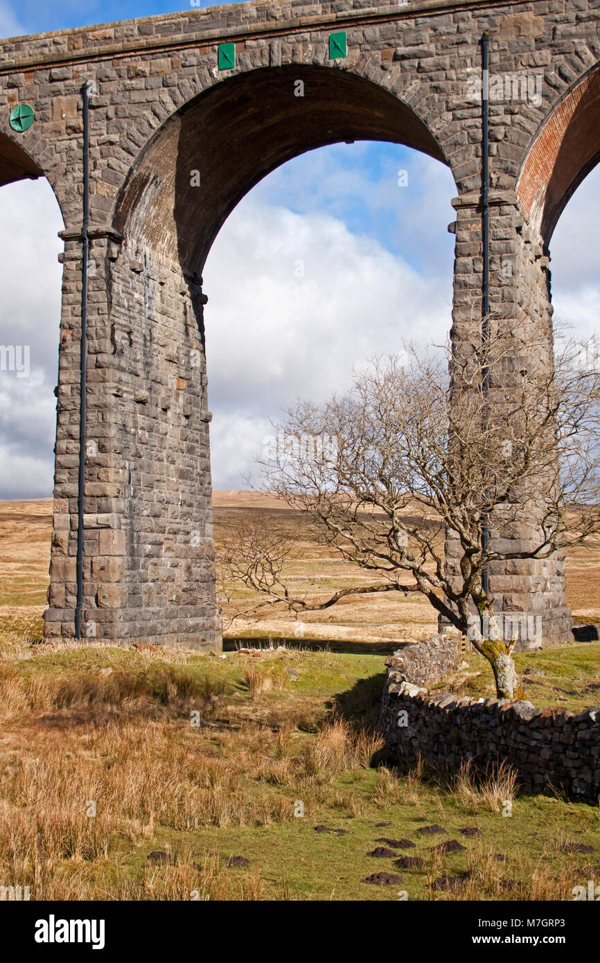 The imposing viaduct: a tall arch in the Ribblehead Viaduct Stock Photo ...