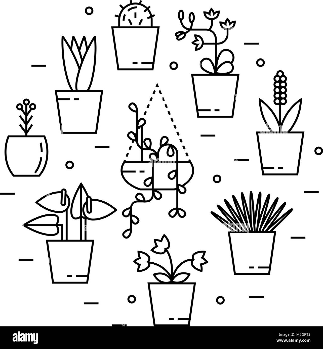 Set of house plant isolated vector flat illustration in round shape ...