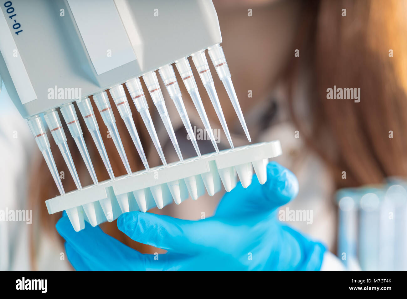 student woman with multi pipette and other PCR items in microbiological ...