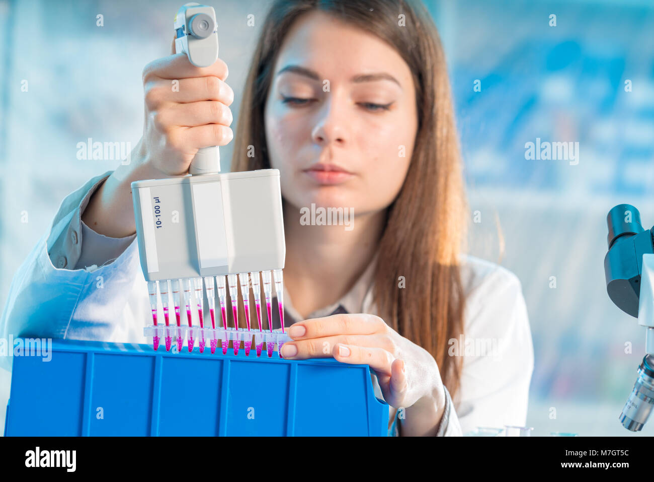 student woman with multi pipette and other PCR items in microbiological ...