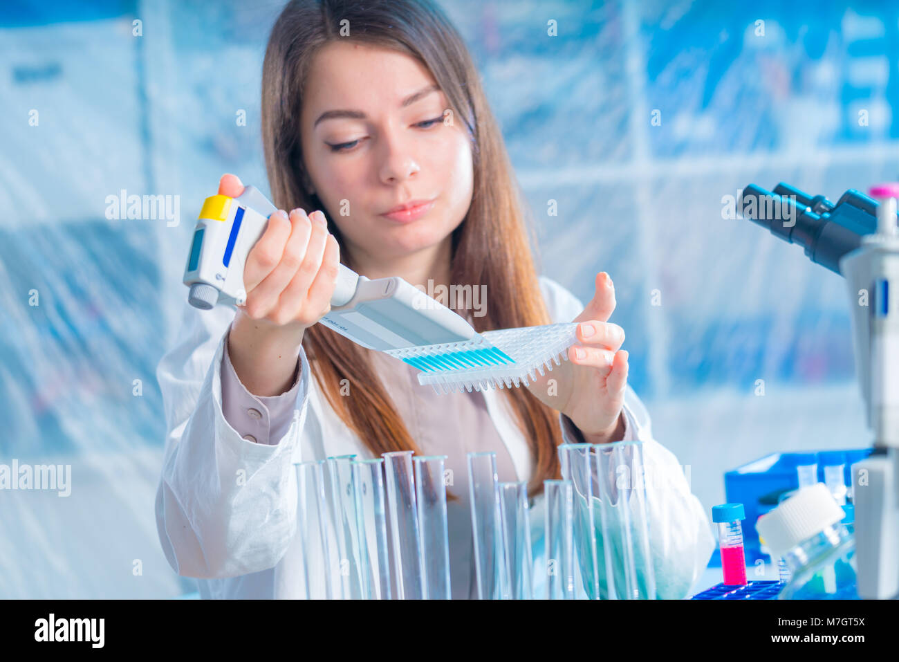 Microbiological laboratory scientist woman with multi channel pipette ...