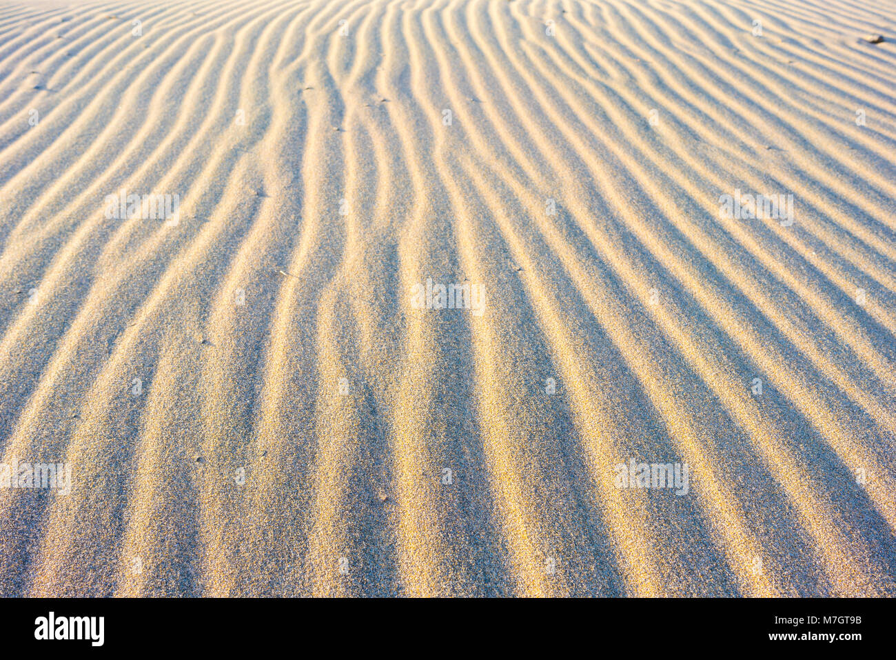 Waves on a sandy dune in the desert Stock Photo - Alamy