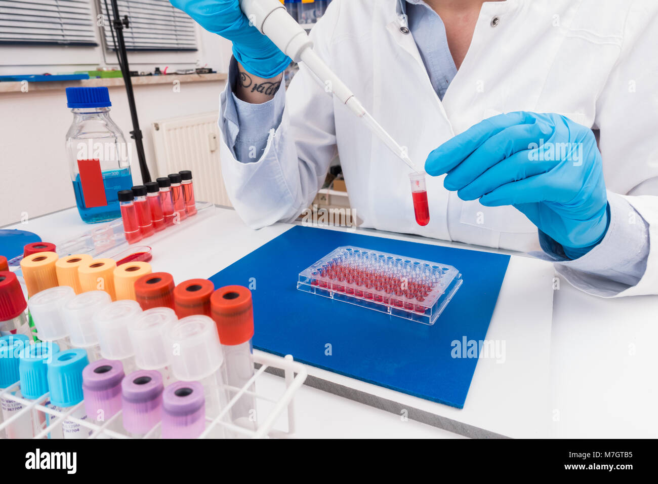 technician woman works with in genetic lab with biological materials ...