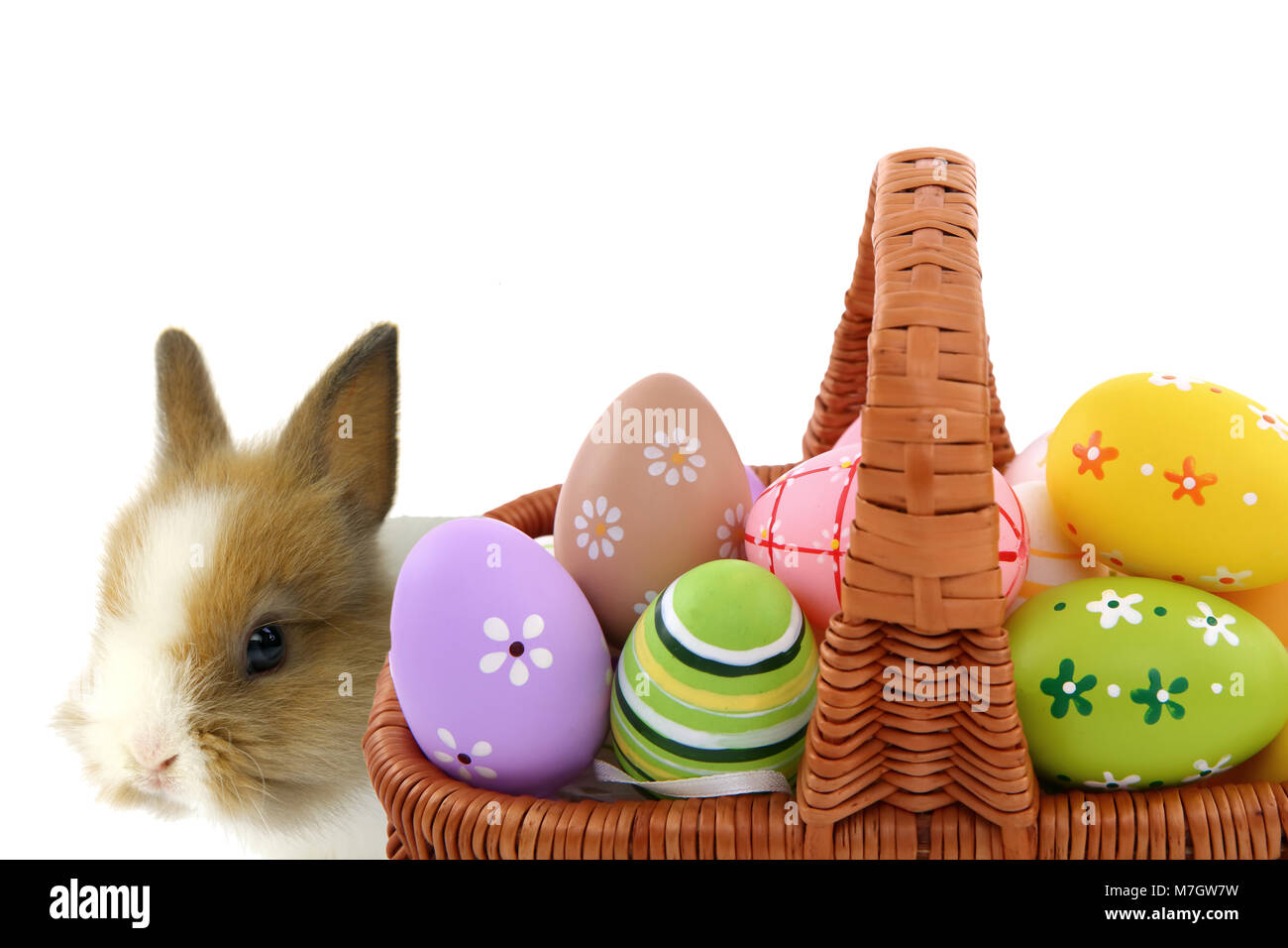The Easter rabbit as a symbol together with painted Easter eggs is one ...