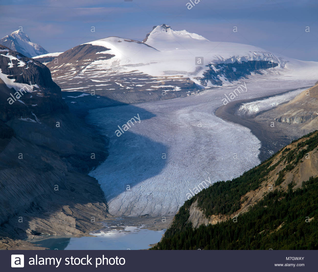 Saskatchewan Glacier Stock Photos & Saskatchewan Glacier Stock Images ...