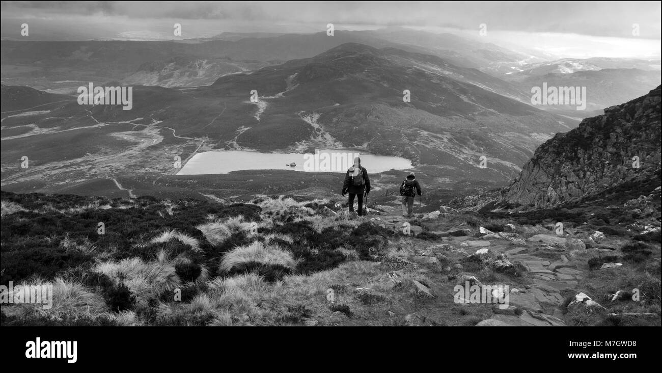 Scottish descent hi-res stock photography and images - Alamy