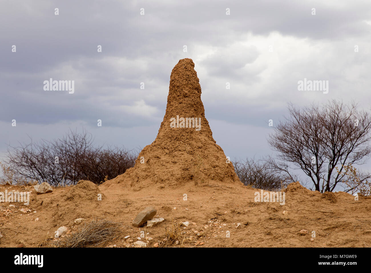 Termite hill in Namibia Stock Photo - Alamy