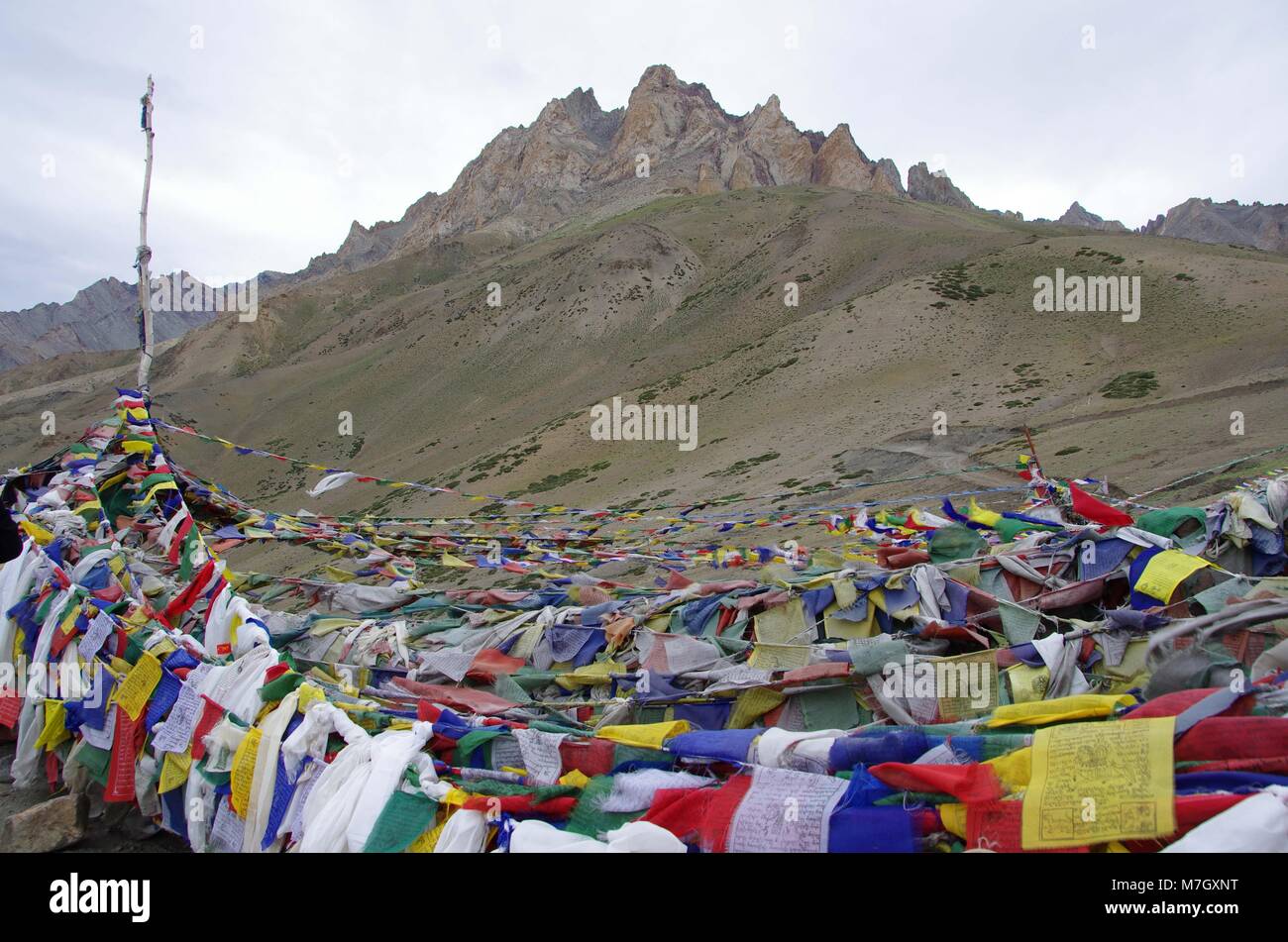 Ladakh flag hi-res stock photography and images - Alamy