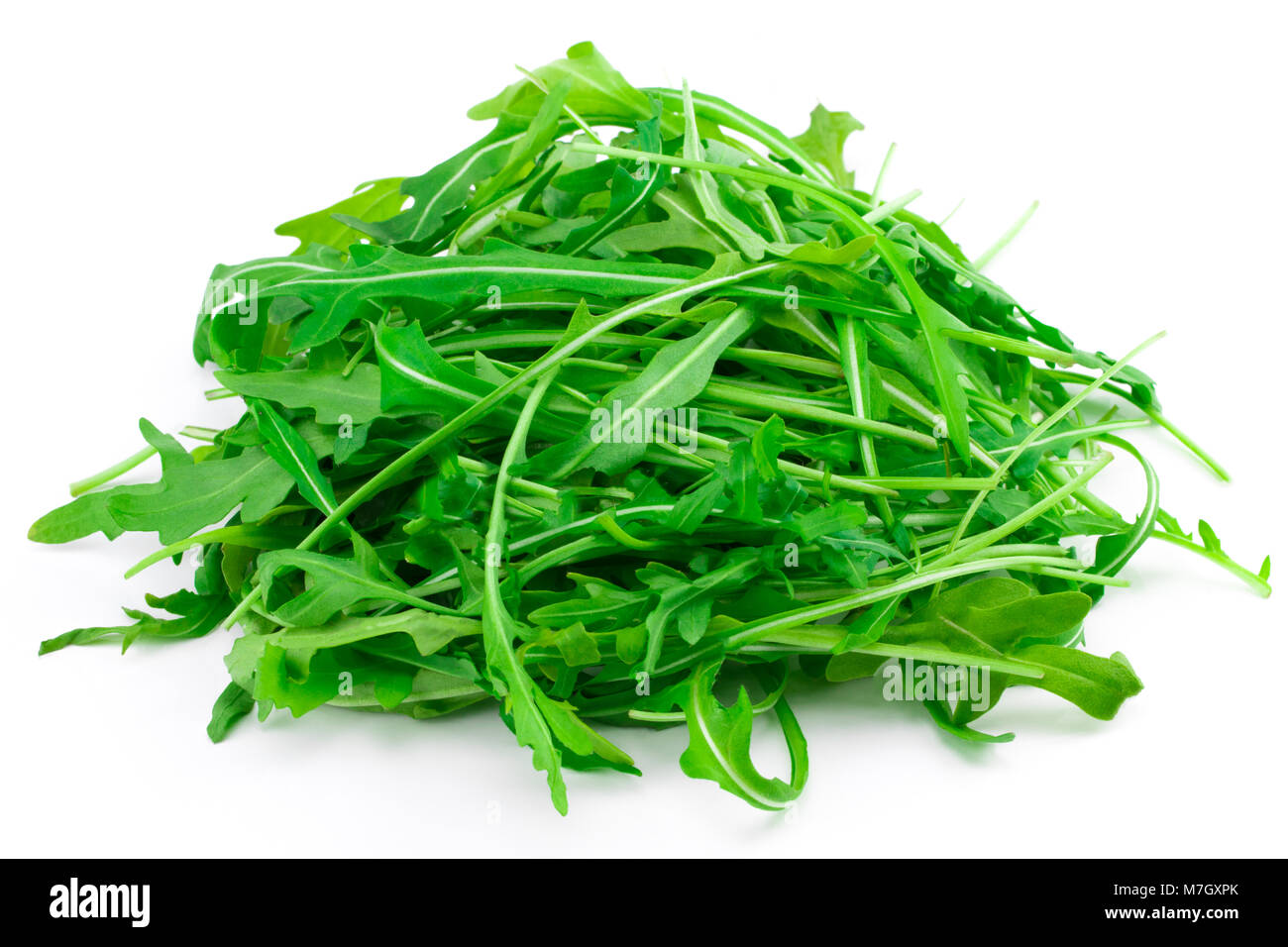Fresh arugula leaves isolated on white background Stock Photo - Alamy