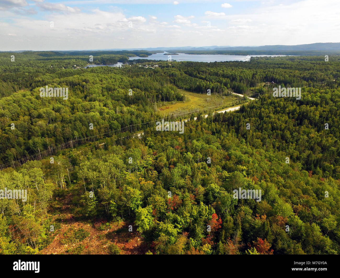 Boreal forest canada drone hi-res stock photography and images - Alamy