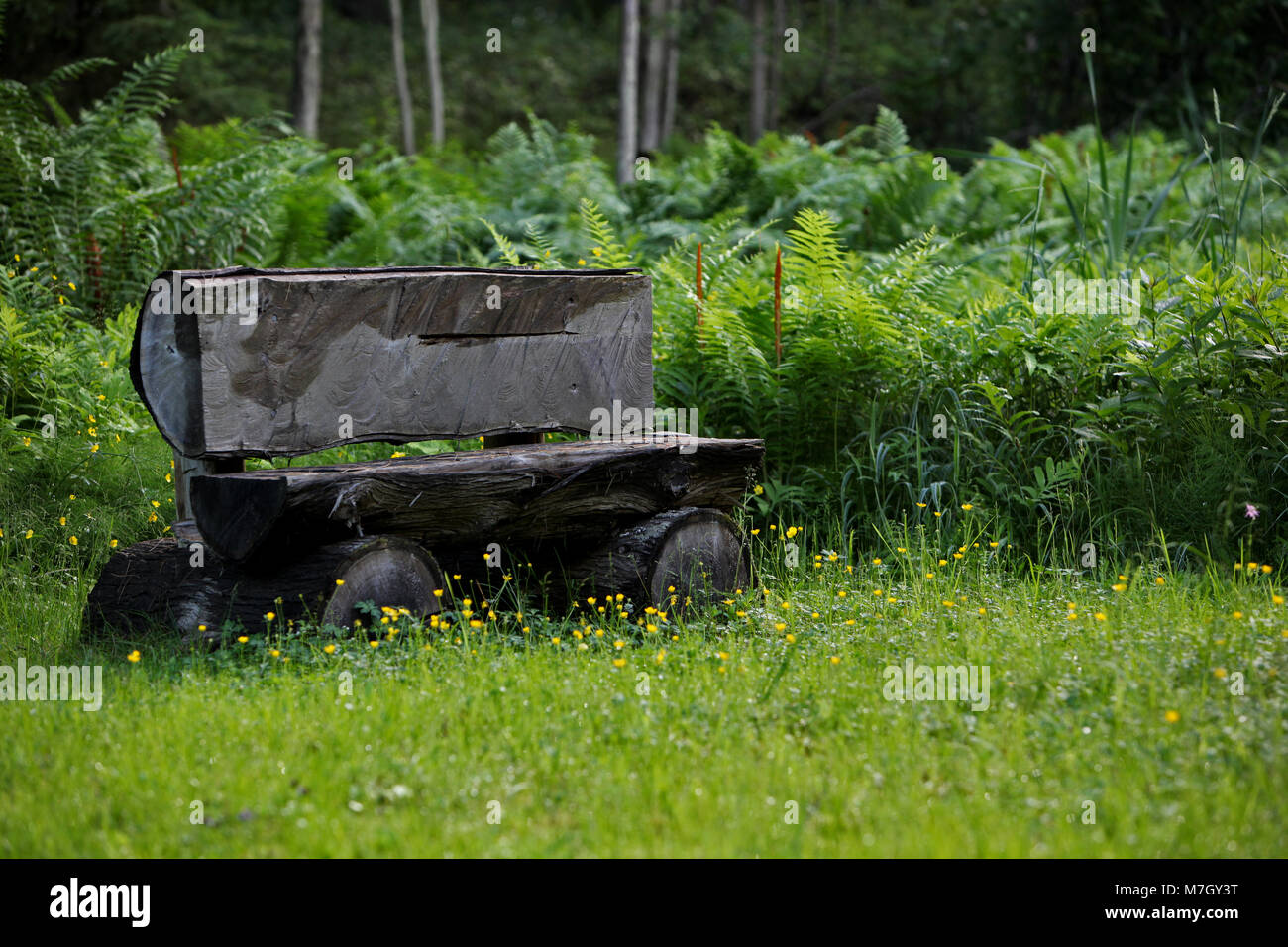 Log bench hi-res stock photography and images - Alamy