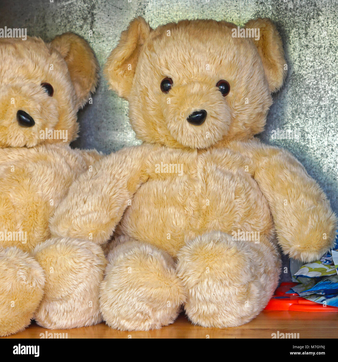 Big plush stuffed cuddly bear toy at shelf Stock Photo - Alamy