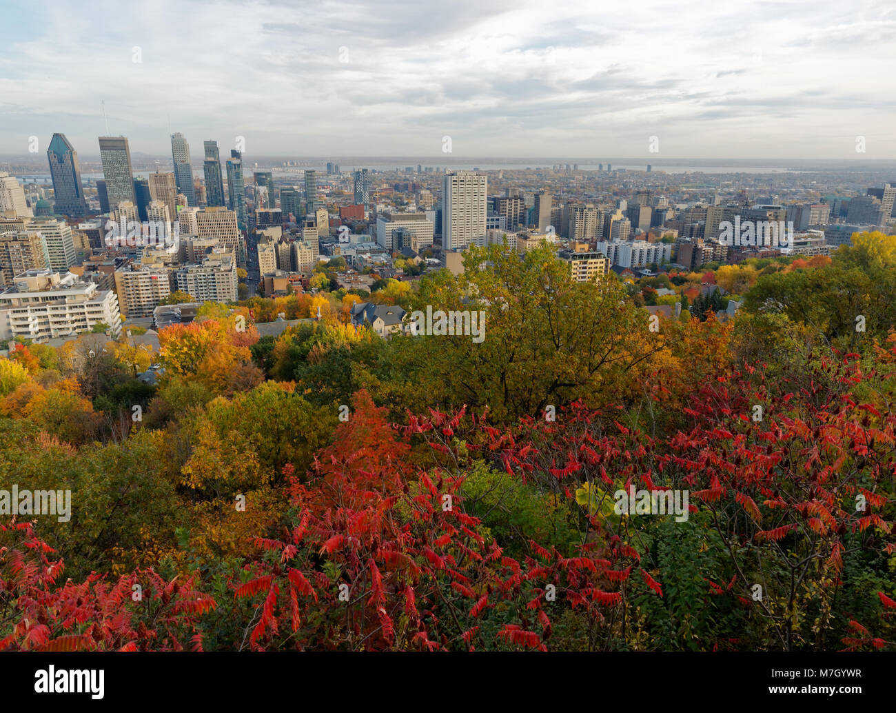 Fall colors montreal hi-res stock photography and images - Alamy