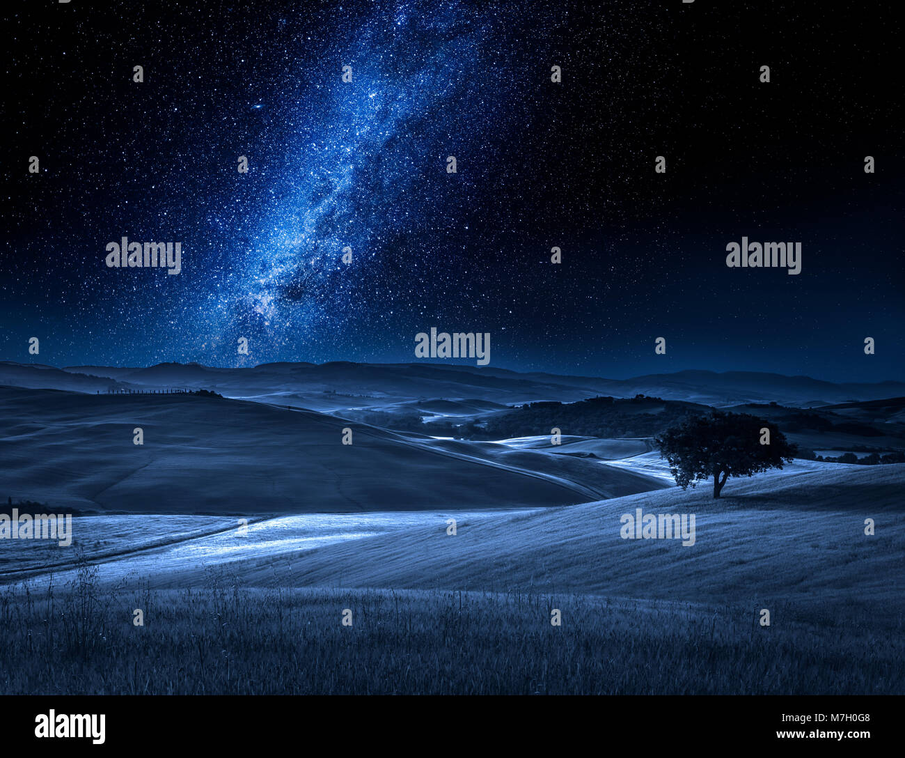Alone tree on field at night with milky way Stock Photo - Alamy